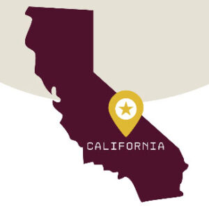 California Dementia Care Standards - NCCDP