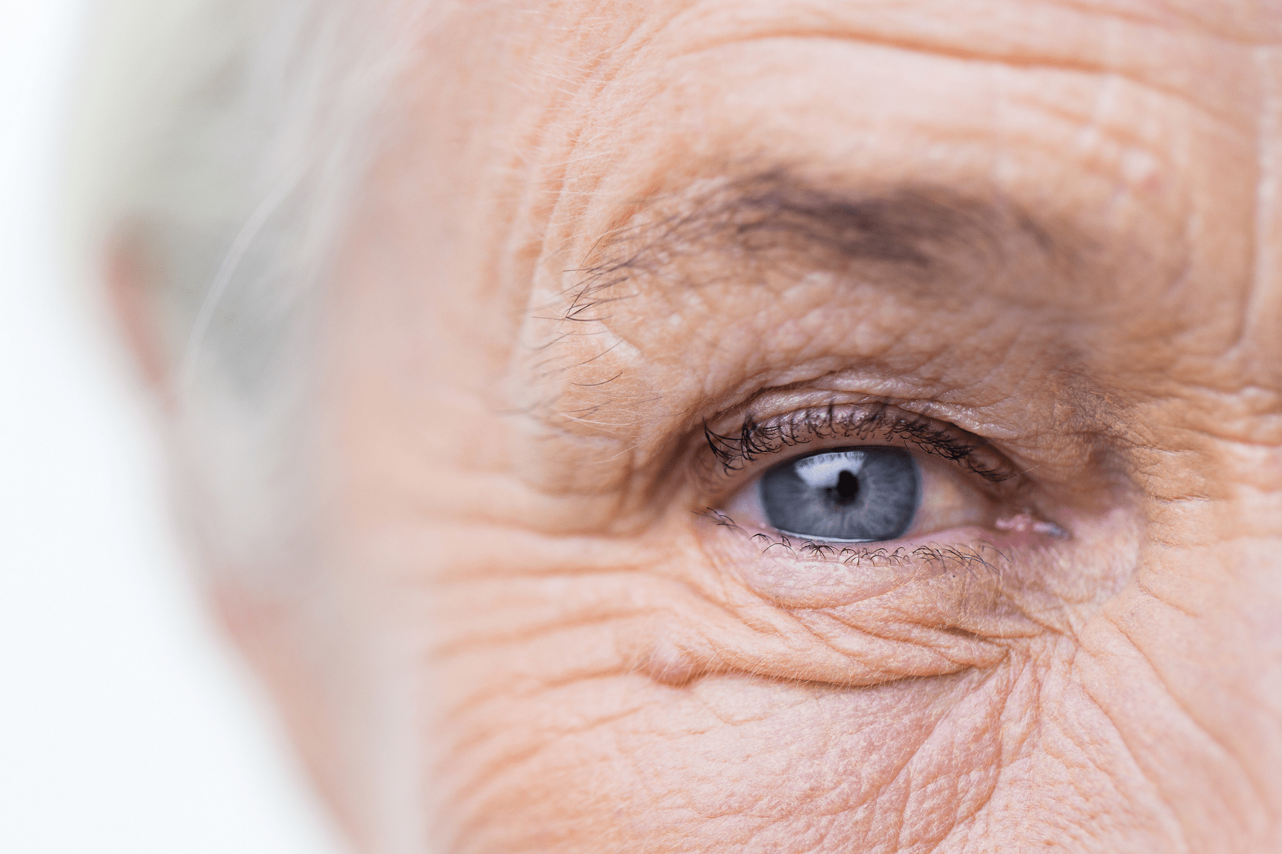 The Connection Between Dementia and Vision Loss - NCCDP